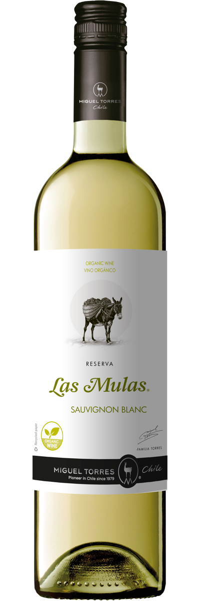 Wine is only enjoyed in moderation.